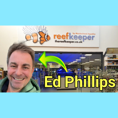 The Reality of Running a LFS With Ed From Reefkeeper Moss End | The ...