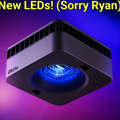 New Red Sea LEDs and Return Pumps! The Prestige Reef Dork Show Ep 84 by ...