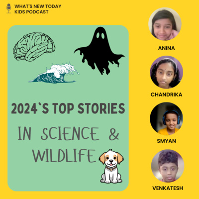 Best of science and wildlife stories from 2024 by What's new today