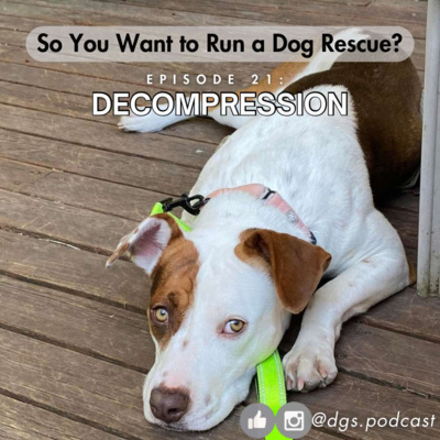 21: The DL on Decompression and Managing Off-Leash Dogs by So You Want ...