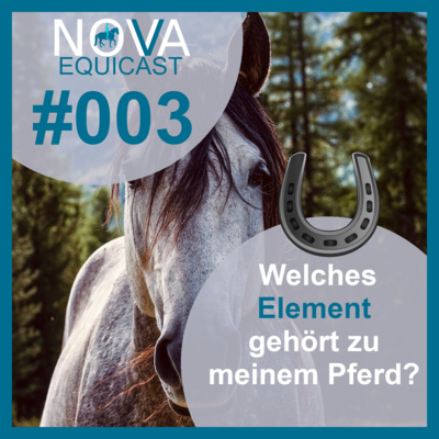 006 Welches Element gehört zu meinem Pferd? by NOVA EQUICAST