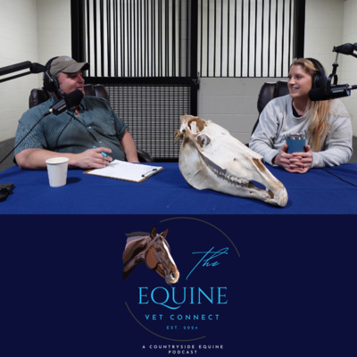 The Equine Vet Connect: Episode 23 - Equine Dentistry Uncovered: The Key to Your Horse’s Health ...