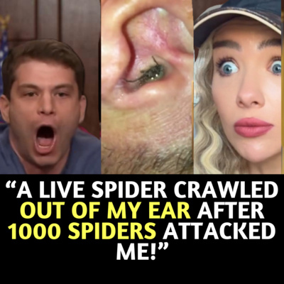 LIVE SPIDER Crawls out of Man's Ear After ATTACKED by 1,000 Spiders in Apartment 😱😡 by Court Tea