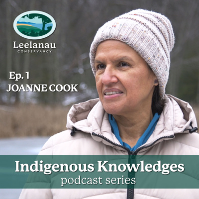 Episode 1: Nurturing the Eighth Fire with JoAnne Cook by Indigenous ...