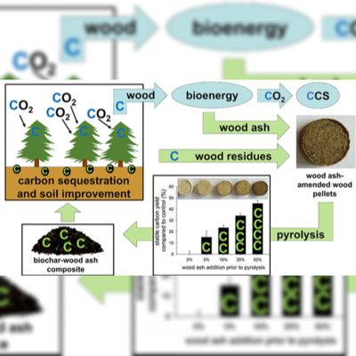 Biochar vs. BECCS: Which Negative Emissions Tech Wins? by Emerging Tech ...