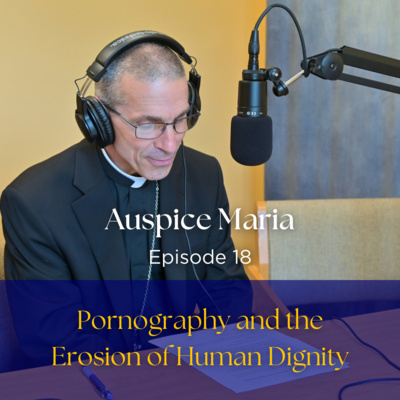 Pornography and the Erosion of Human Dignity - Auspice Maria Episode 18 ...