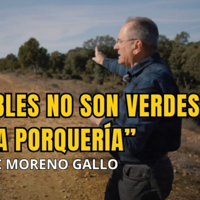 "EN EUROPA NOS HAN ECHADO ALGO EN EL AGUA, ESTO NO ES NORMAL" - SIN ...