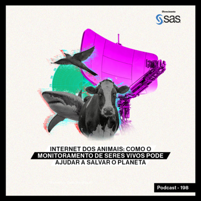 Internet dos animais: como o monitoramento de seres vivos pode ajudar a ...