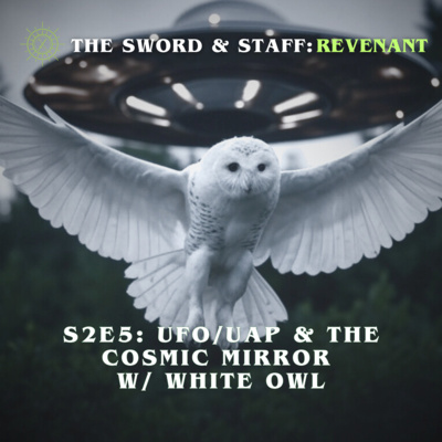 Teaser: UFO/UAP & The Cosmic Mirror w/ White Owl by The Sword and Staff