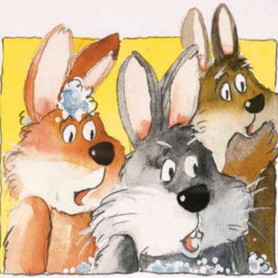 Easter Bunny Story in French: "Au Secours Waldo" by Hans Wilhelm ...