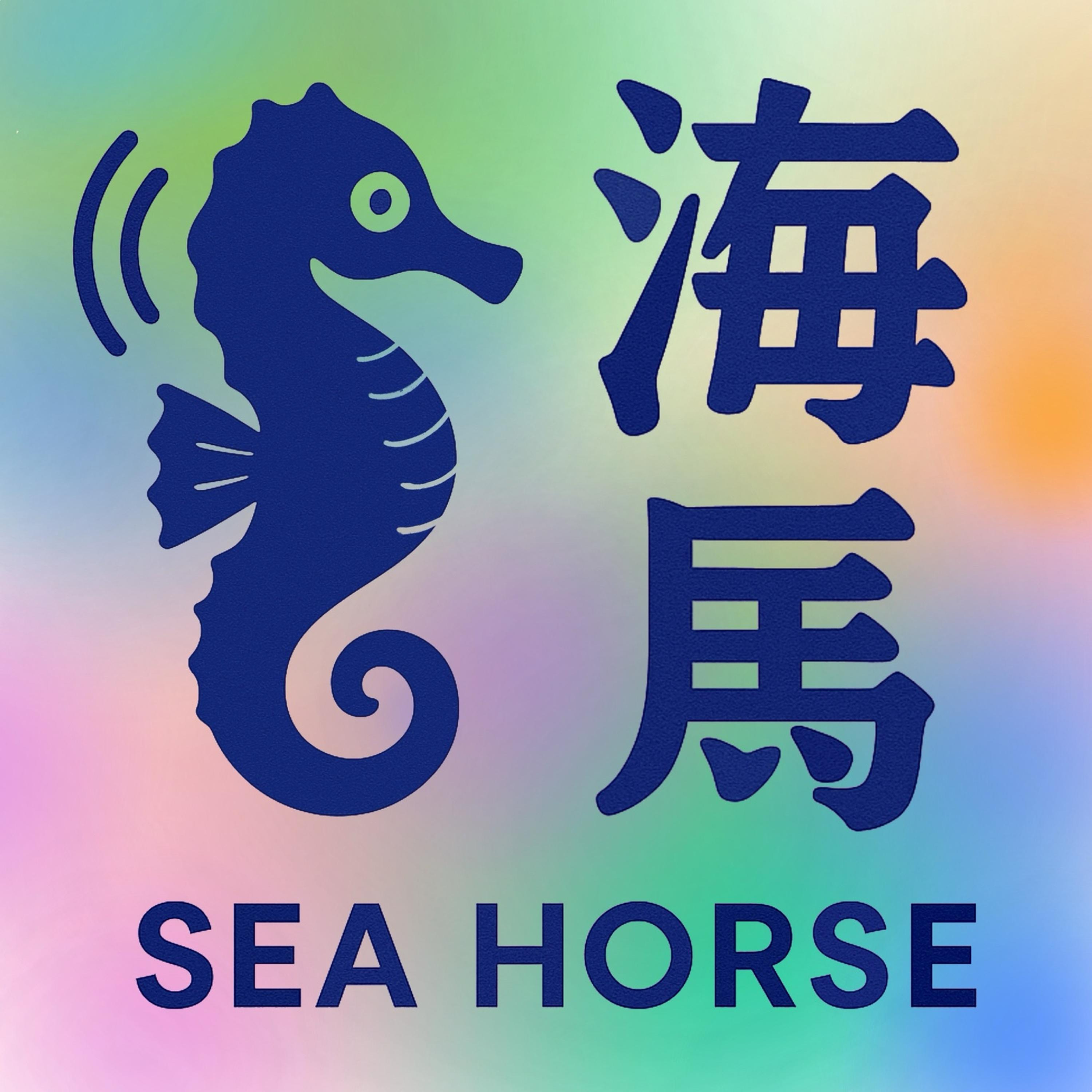 第二期：迦南——组织了那么多场跨文化活动之后，我被西北老家的一场葬礼深深震动 - Listen Now on Seahorse海马播客 ...