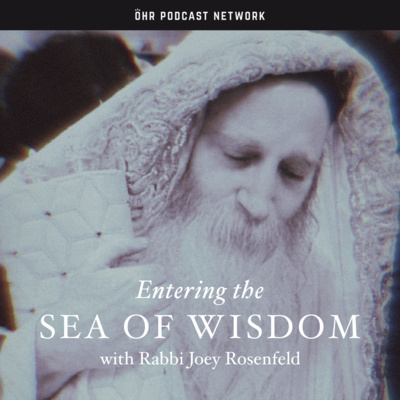 Entering the Sea of Wisdom with Rabbi Joey Rosenfeld • A podcast on ...