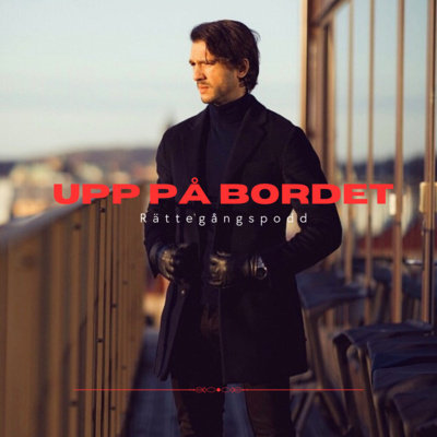 Vakterna Hadi Mozzafari ("Alex Nordin") och Ilma Alibegovic kvävde ...