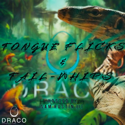 T.F.T.W. PODCAST • A podcast on Spotify for Creators