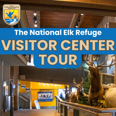 National Elk Refuge Audio Tour - Visitor Center • A podcast on Spotify ...