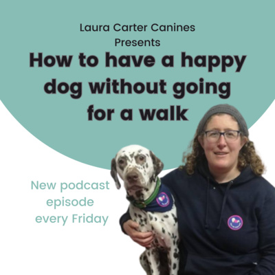 Episode 12: Winter Wellness by How to have a happy dog without going ...