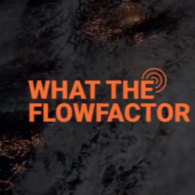 WTFF E03: Zijn platform teams de DevOps endgame? by What The FlowFactor Podcast