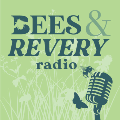 Bees and Revery Radio • A podcast on Spotify for Creators