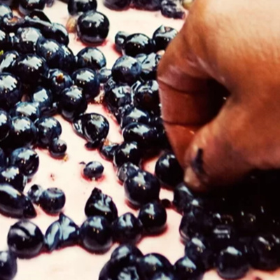 15 questions about the map of Napa Valley - WSET Level 3 by WSET Flashcards