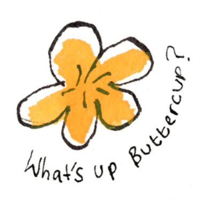 Introducing 'What's Up Buttercup?' by What's Up Buttercup?