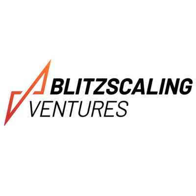Blitzscaling Ventures December 2024 Analysis: The Year in Review by Blitzscaling Ventures